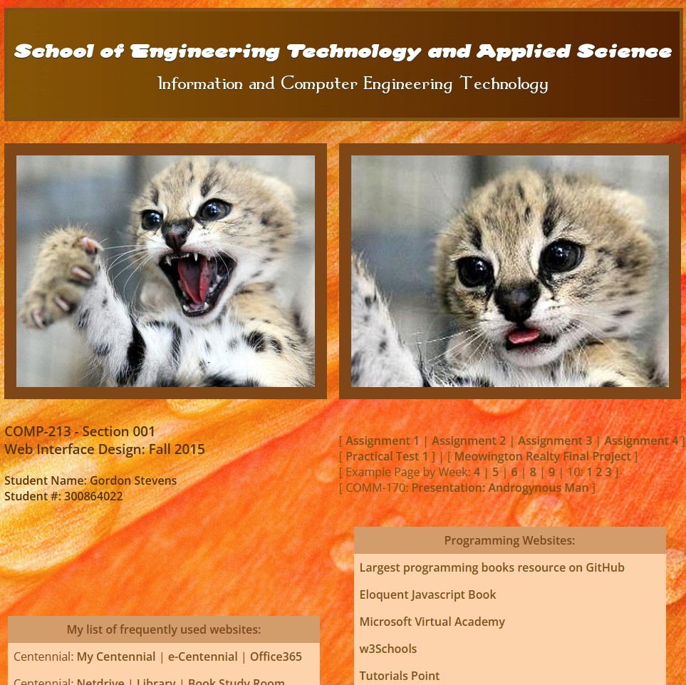 Evolution of a Web Developer